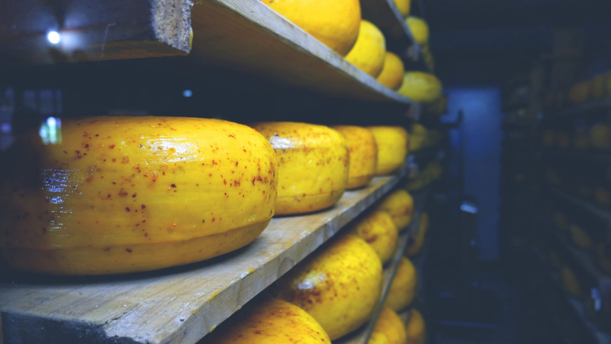 How to Plan and Manage a Successful HACCP System - Safesite